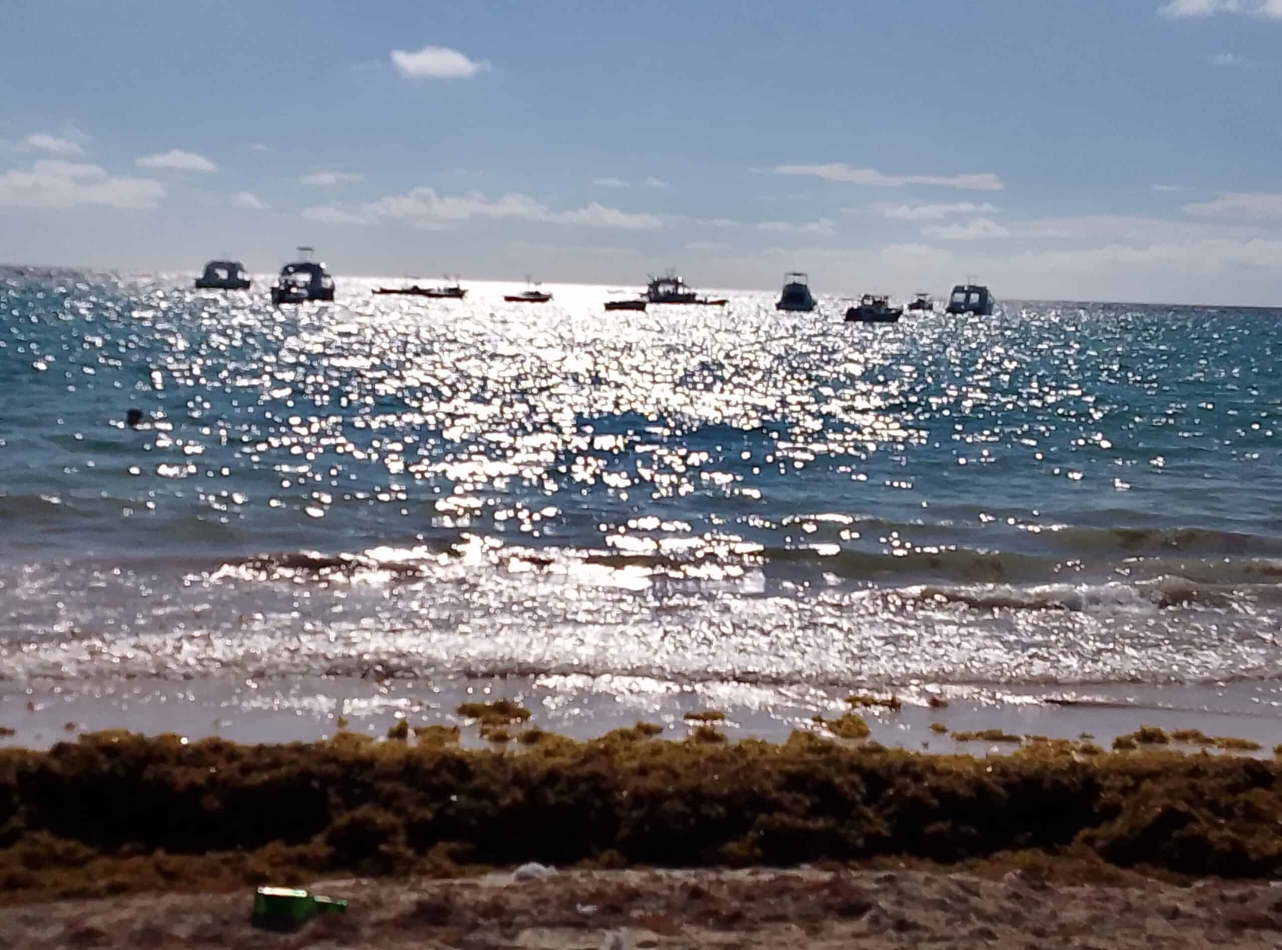 Where is Bávaro Beach in Punta Cana Dominican Republic? | Now In Punta Cana